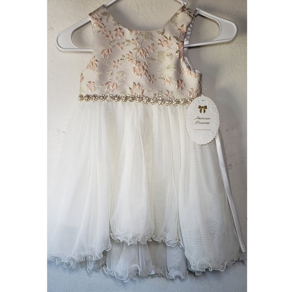 American Princess | Dresses | American Princess Girls Rose Gold Dress ...